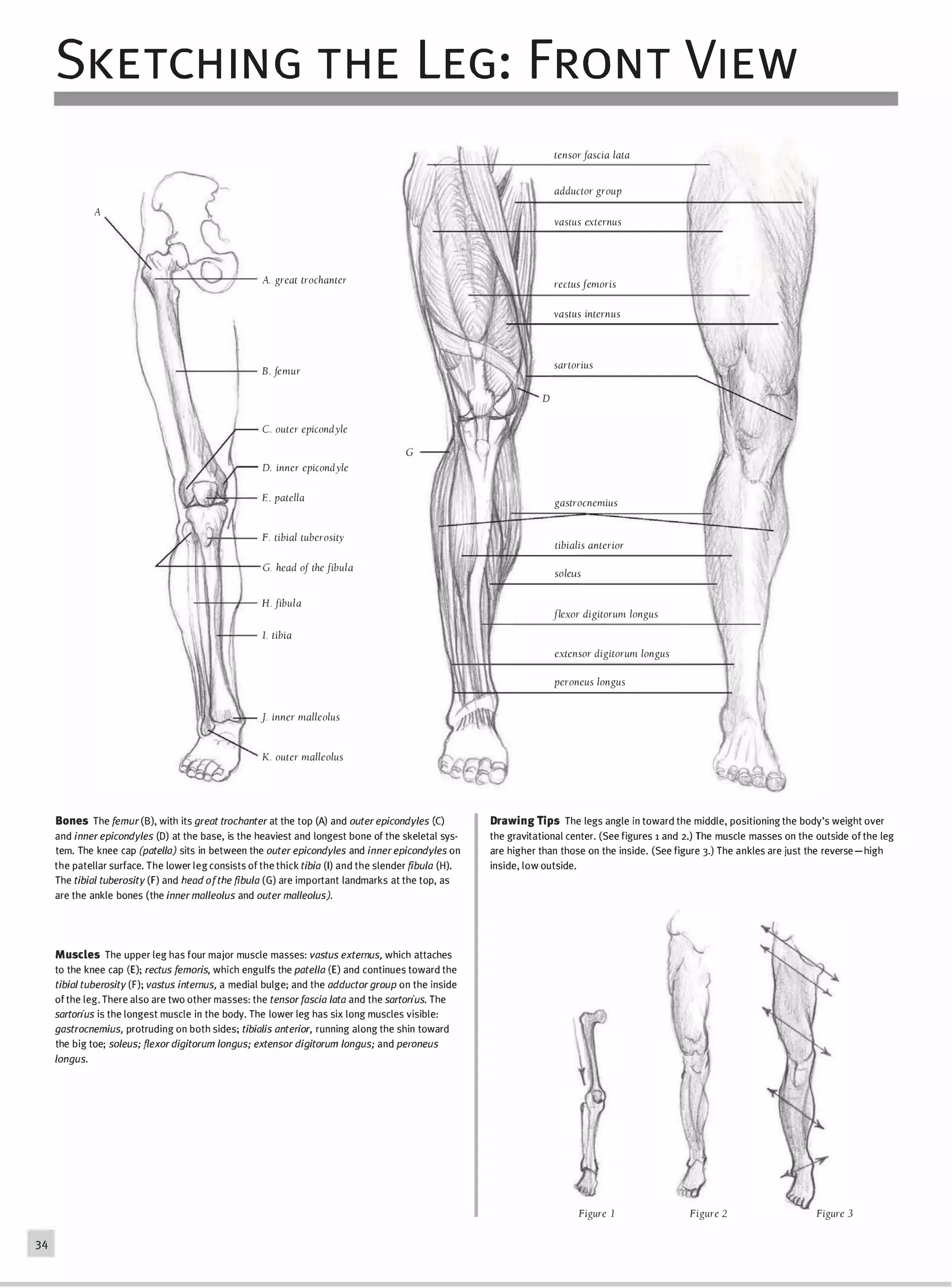 The art of drawing people | PDF