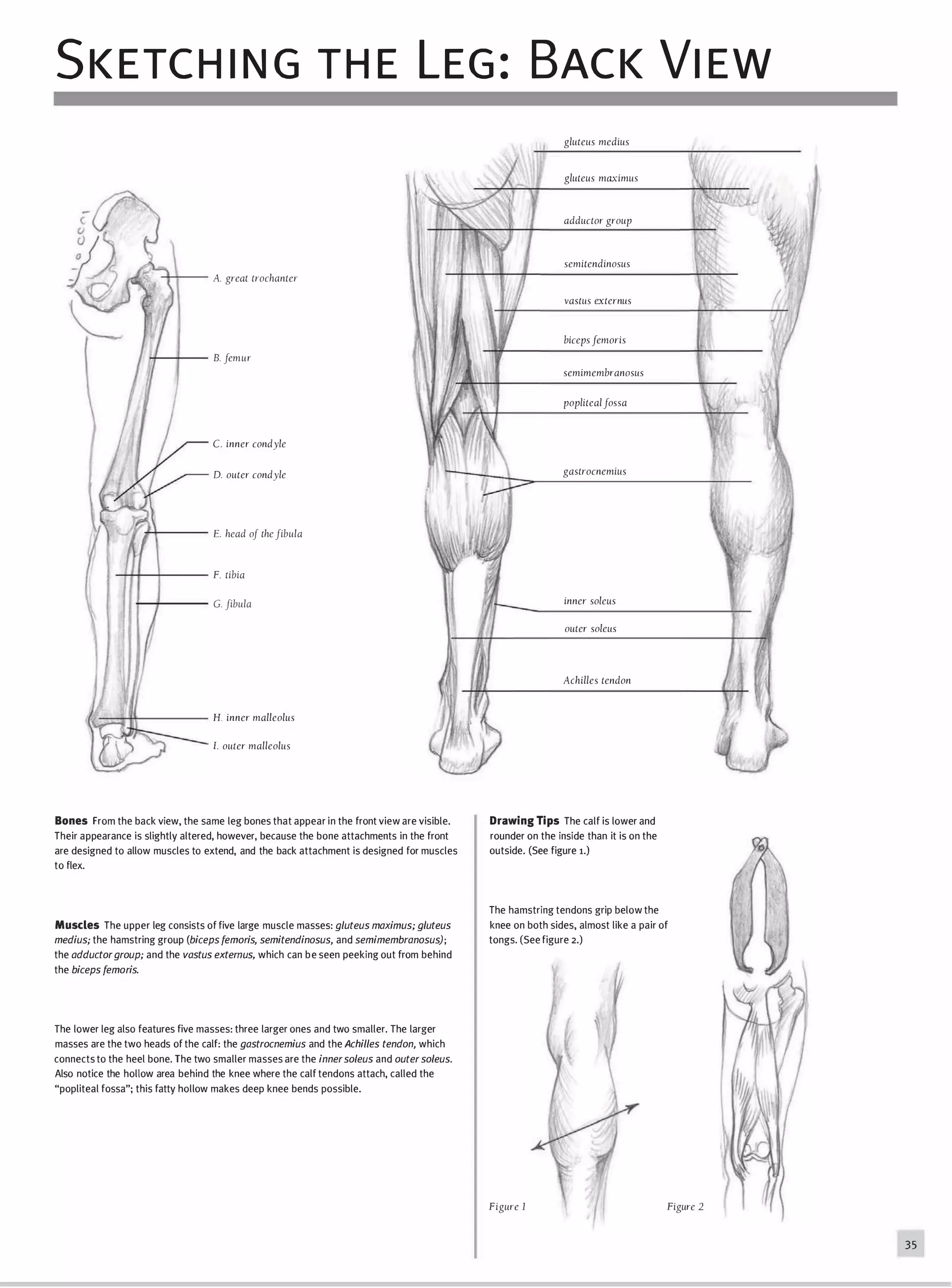 The art of drawing people | PDF