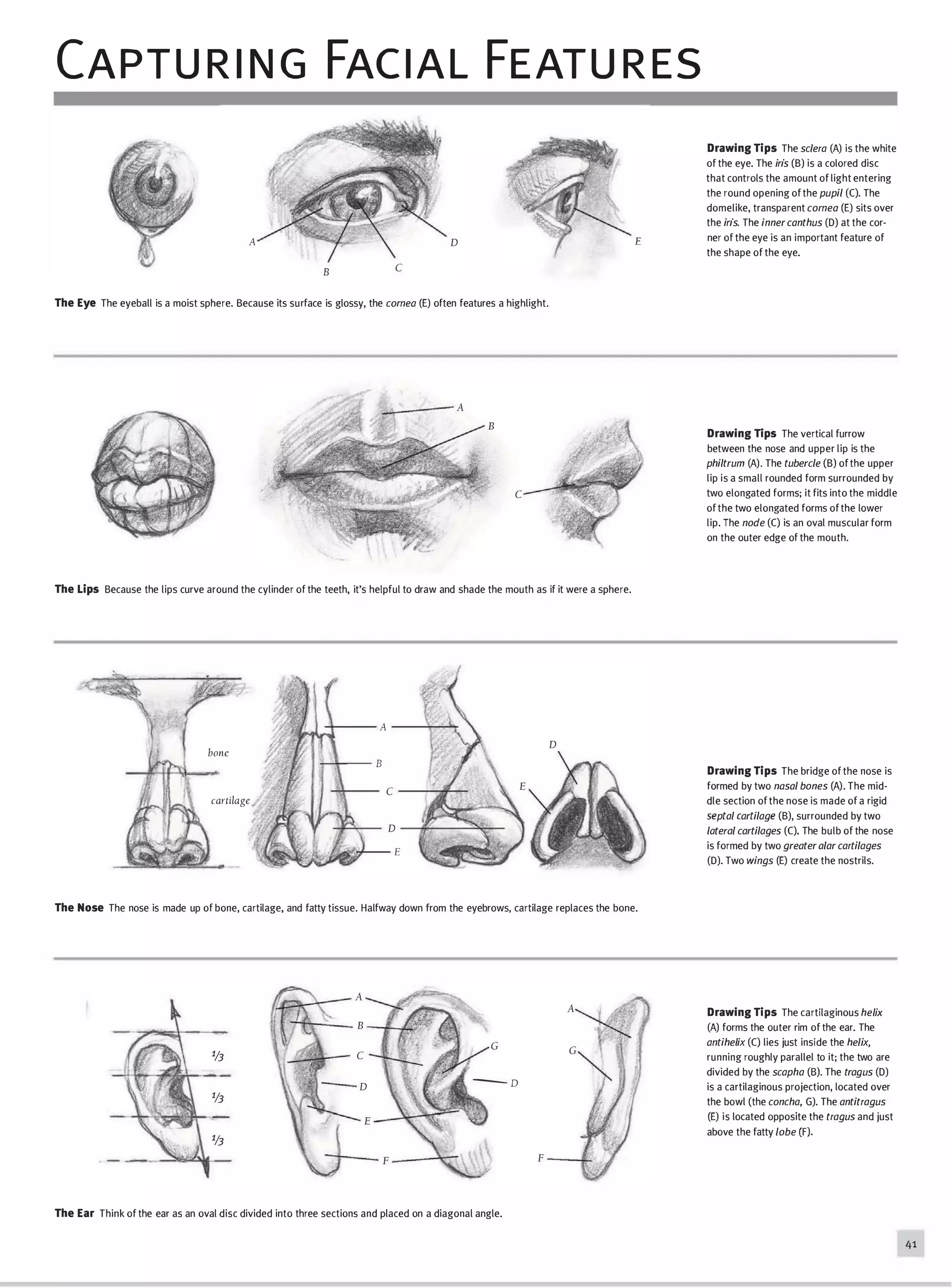 The art of drawing people | PDF
