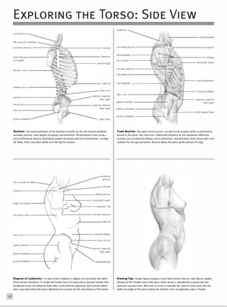 The art of drawing people | PDF