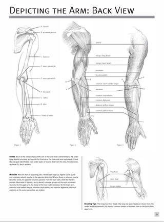 The art of drawing people | PDF