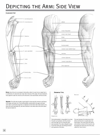 The art of drawing people | PDF