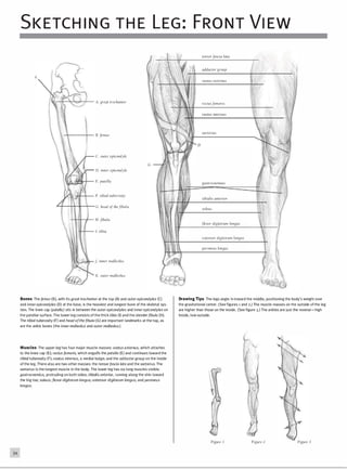 The art of drawing people | PDF