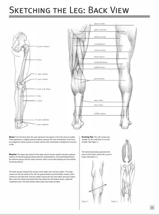 The art of drawing people | PDF