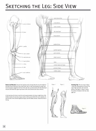 The art of drawing people | PDF