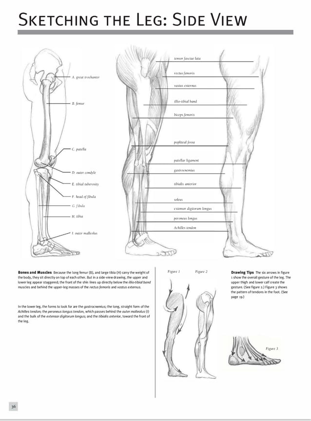 The art of drawing people | PDF