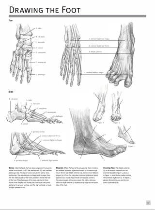 The art of drawing people | PDF