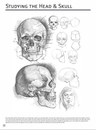 The art of drawing people | PDF