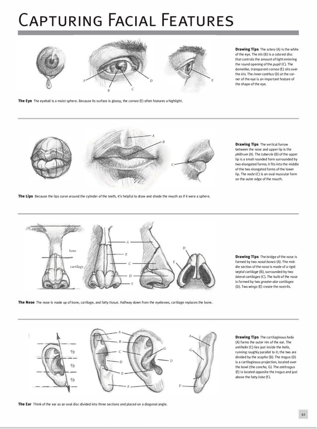 The art of drawing people | PDF