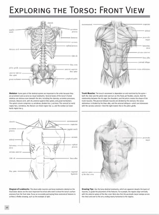 The Art of Drawing People | PDF