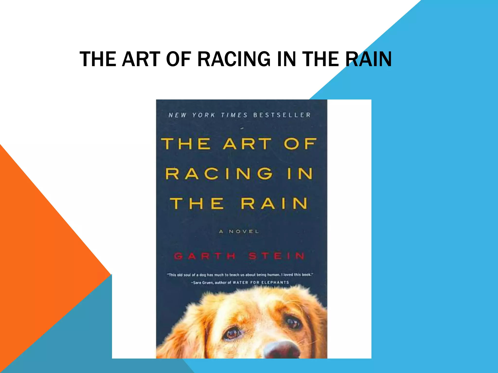 The art of racing in the rain | PPTX