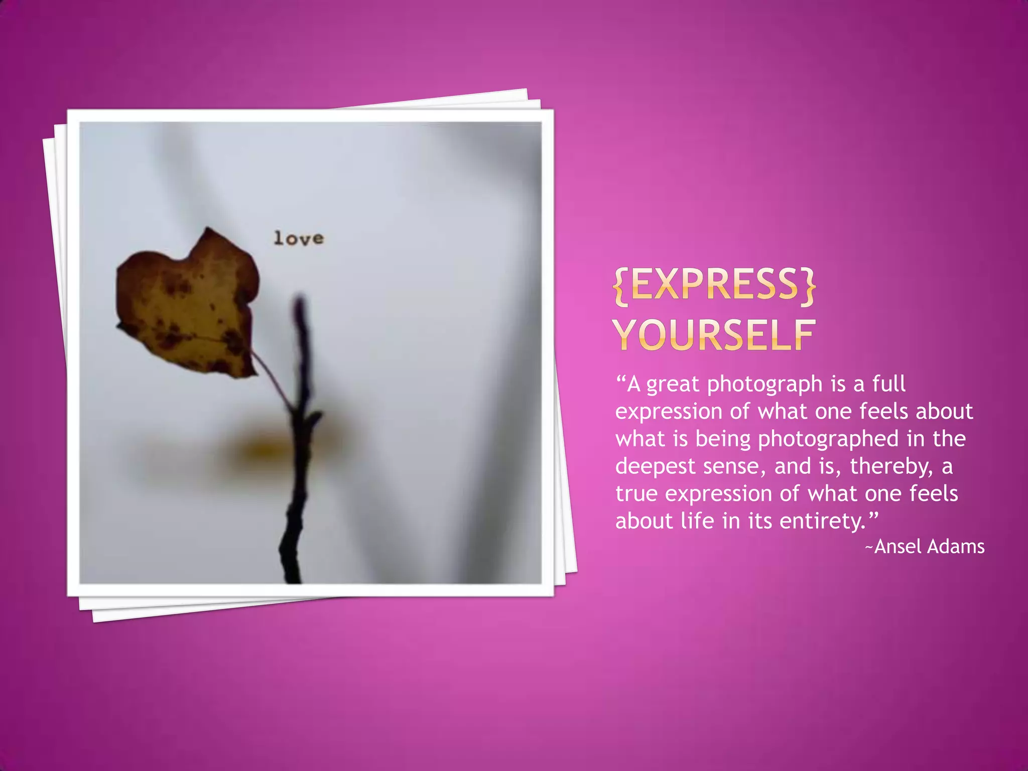 The Art Of Seeing | PPTX