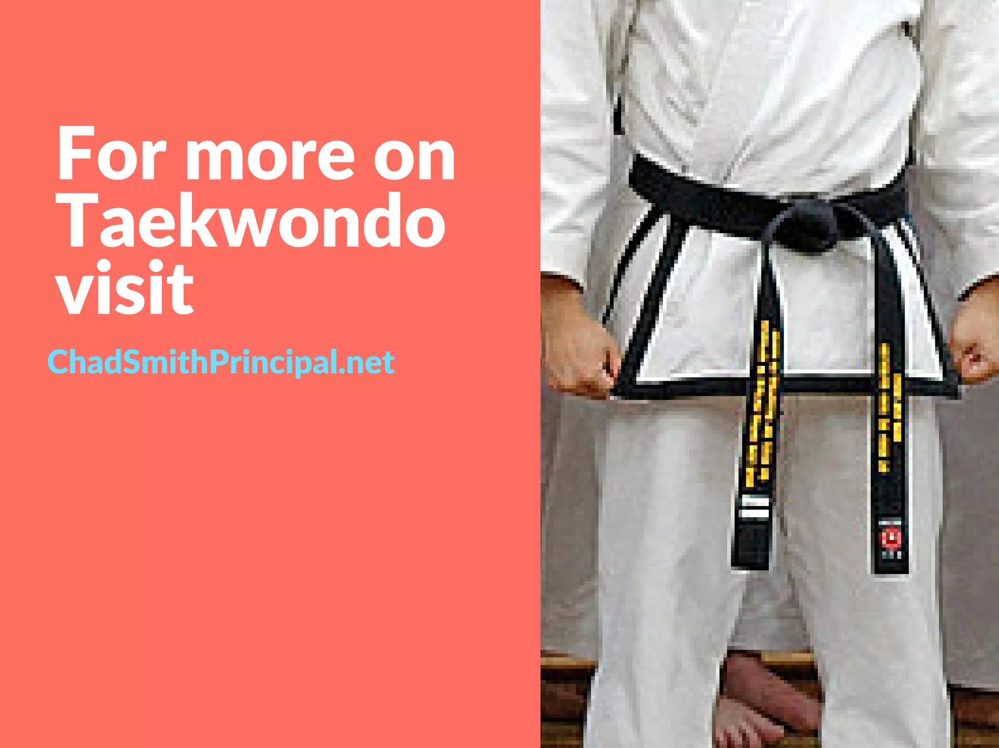 The Art of Taekwondo | PDF