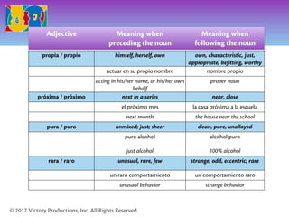 Translation Solutions: Adjective Inversion | PDF