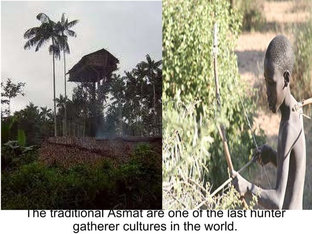 The asmat | PPT