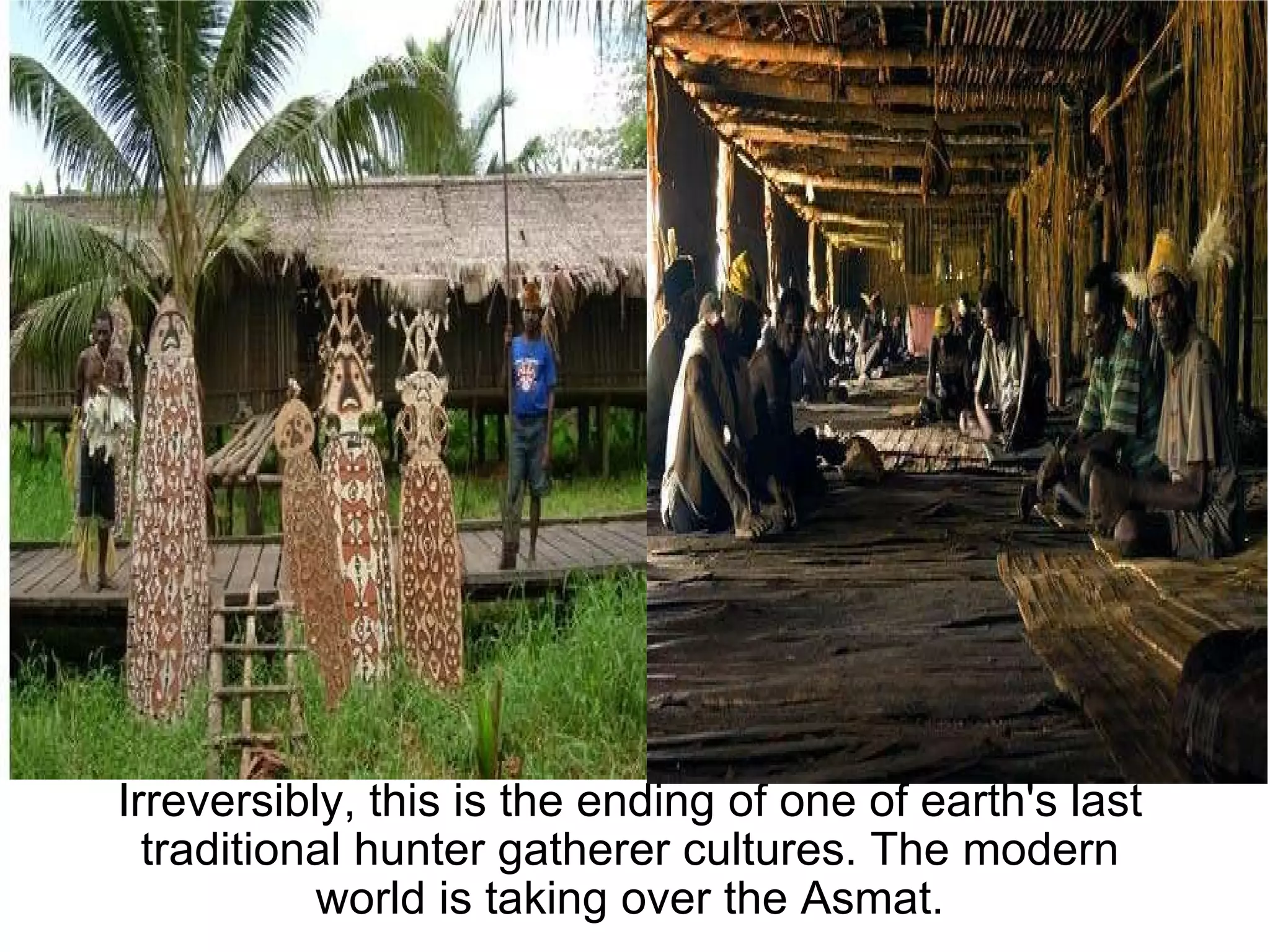 The Asmat Background | PPT