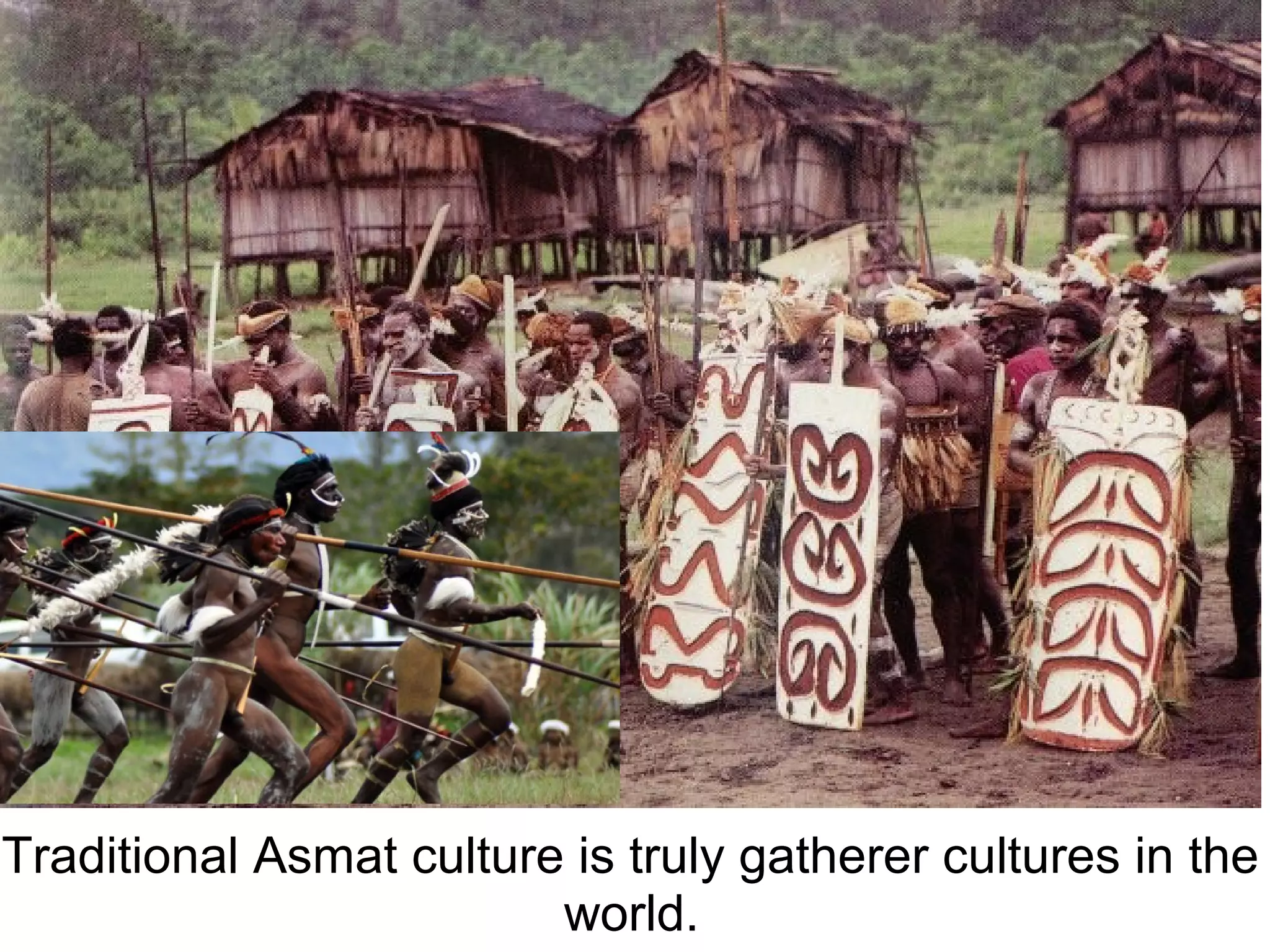 The Asmat background | PPT