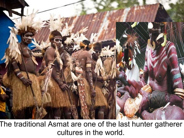 The Asmat background | PPT