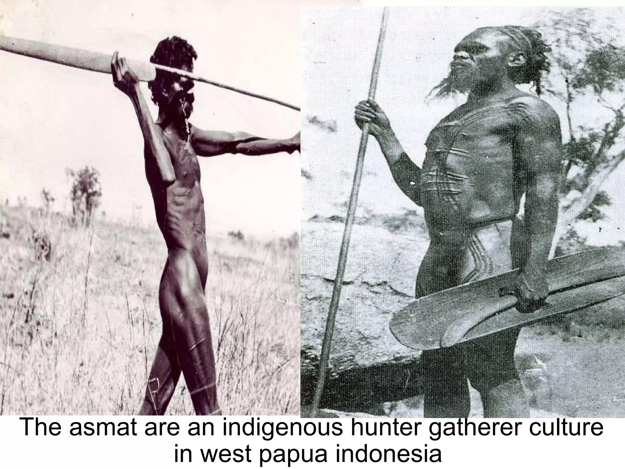 The asmat background | PPT