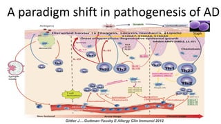 The atopic dermatitis pathogenesis and implications for alopecia areata ...