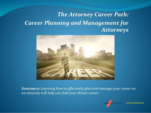 Lawyer And Career Path Infographic