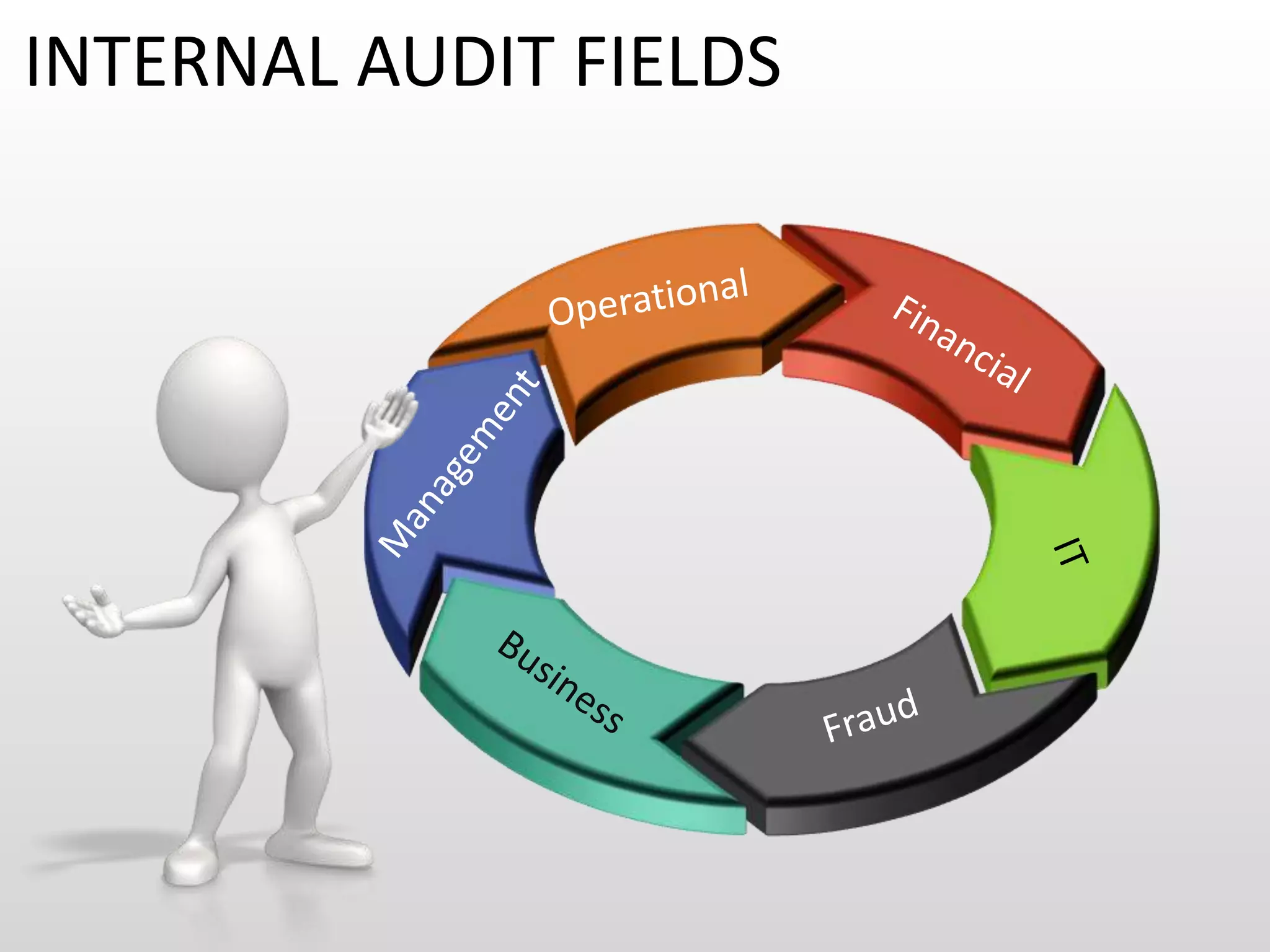 The Audit Fields Ppt