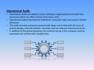 The Audit Fields | PPTX
