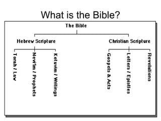 The Authority Of The Bible | PPT