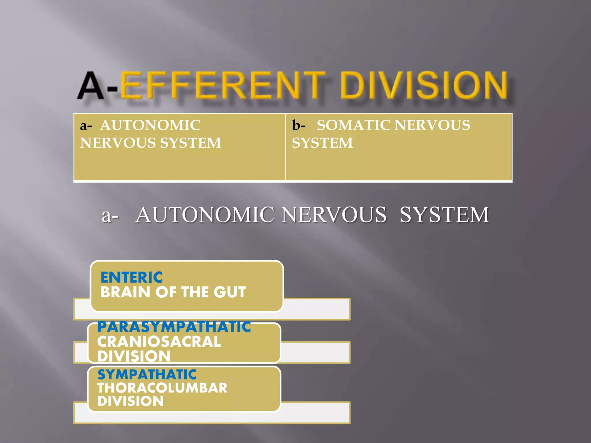 A short introduction to the Autonomic Nervous System | PPTX
