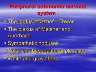 The autonomic nervous system.ppt
