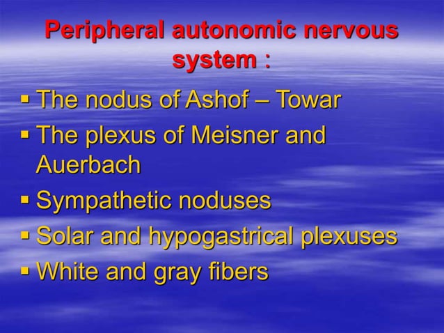 The autonomic nervous system.ppt