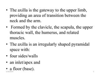 The axilla | PPTX