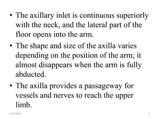 The axilla | PPTX | Death, Injury, or Military Conflict | Sensitive Topics