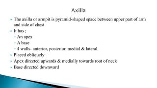 THE AXILLA.pptx