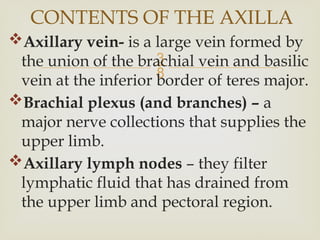 THE AXILLA OF THE UPPER LIMB AND ITS CONTENTS | PPT