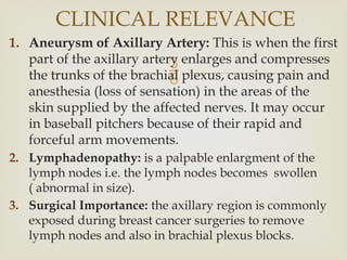 THE AXILLA OF THE UPPER LIMB AND ITS CONTENTS | PPTX