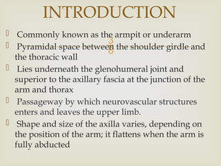 THE AXILLA OF THE UPPER LIMB AND ITS CONTENTS | PPT