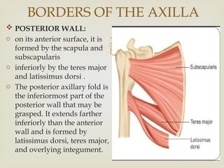 THE AXILLA OF THE UPPER LIMB AND ITS CONTENTS | PPT