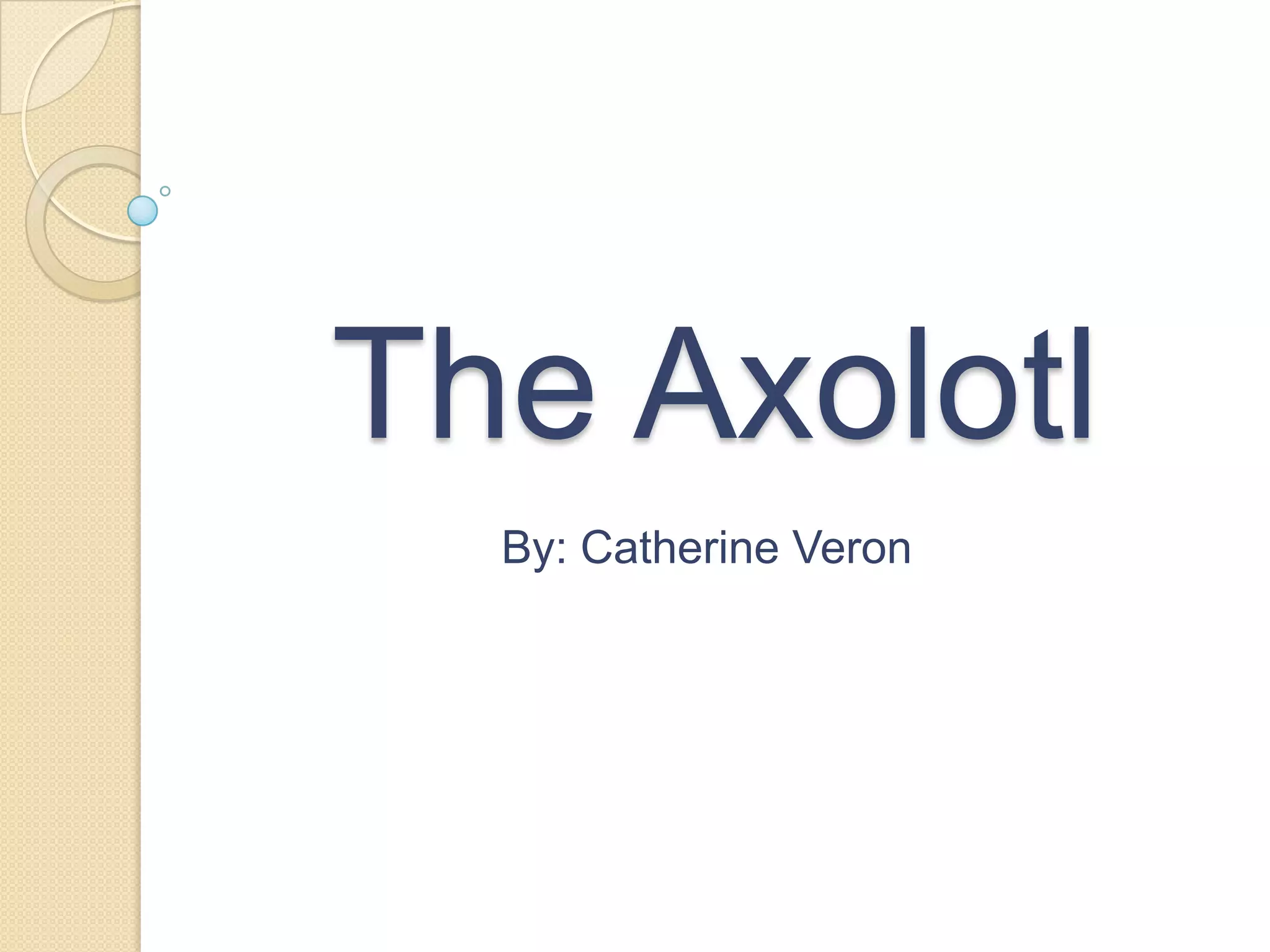 The axolotl | PPTX