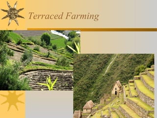 Aztec Terracing