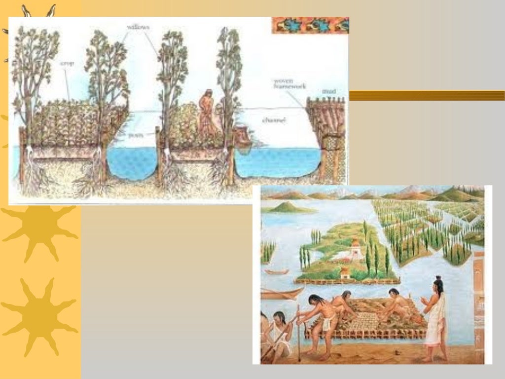 The aztec and inca empire environment