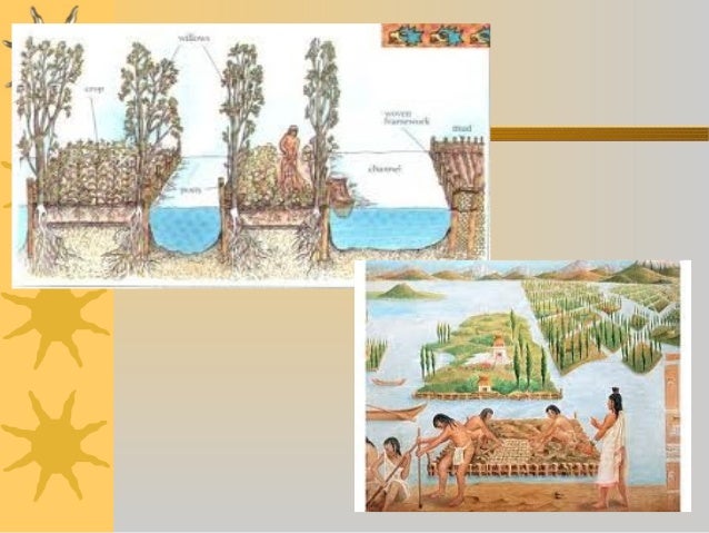 The aztec and inca empire environment