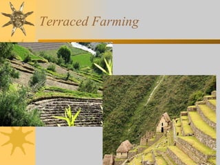 Aztec Terracing