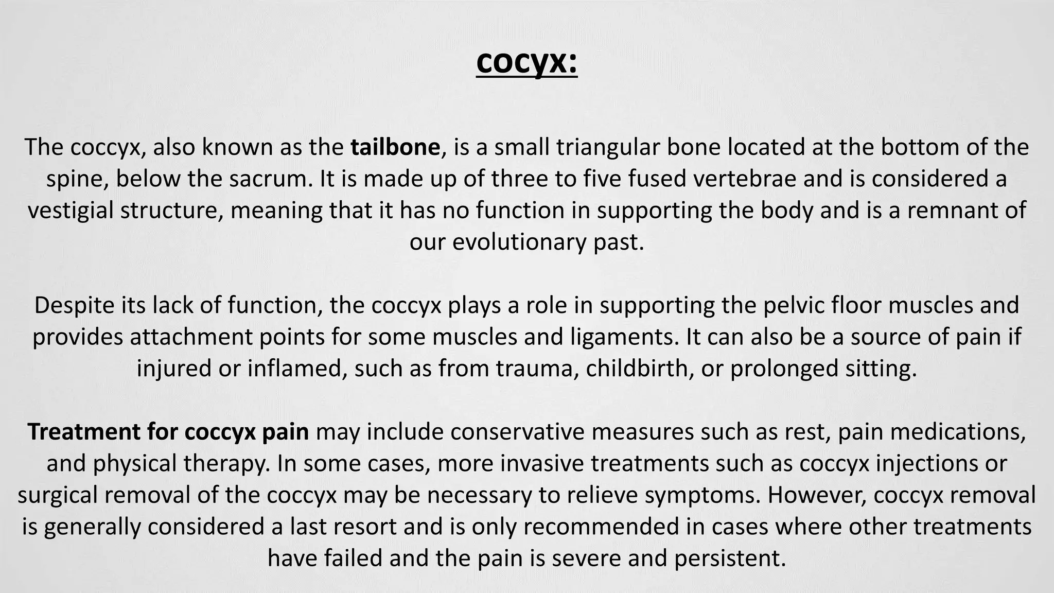 The back chap2 anatomy.pptx | Death, Injury, or Military Conflict ...
