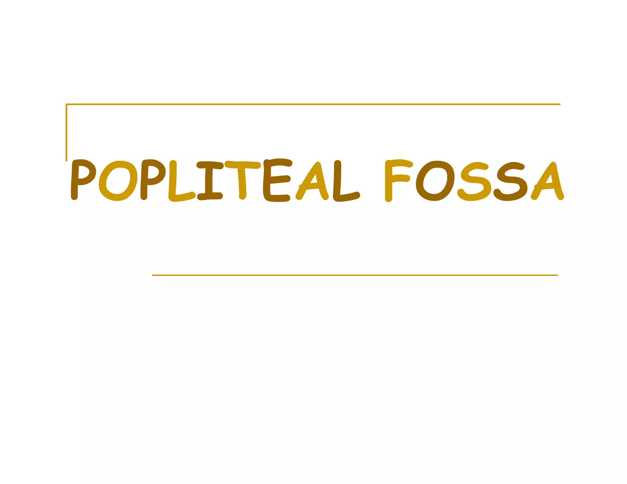 The back of the thigh and popliteal fossa | PDF
