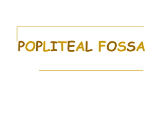 The back of the thigh and popliteal fossa | PDF
