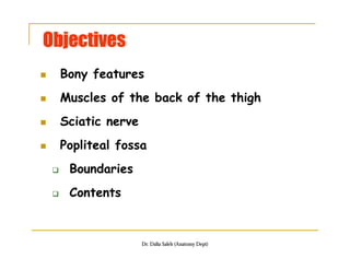 The back of the thigh and popliteal fossa | PDF