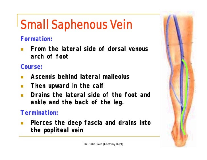 Foot Lymph Node Locations