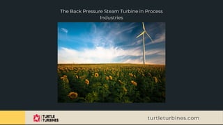 The Back Pressure Steam Turbine in Process Industries | PPT