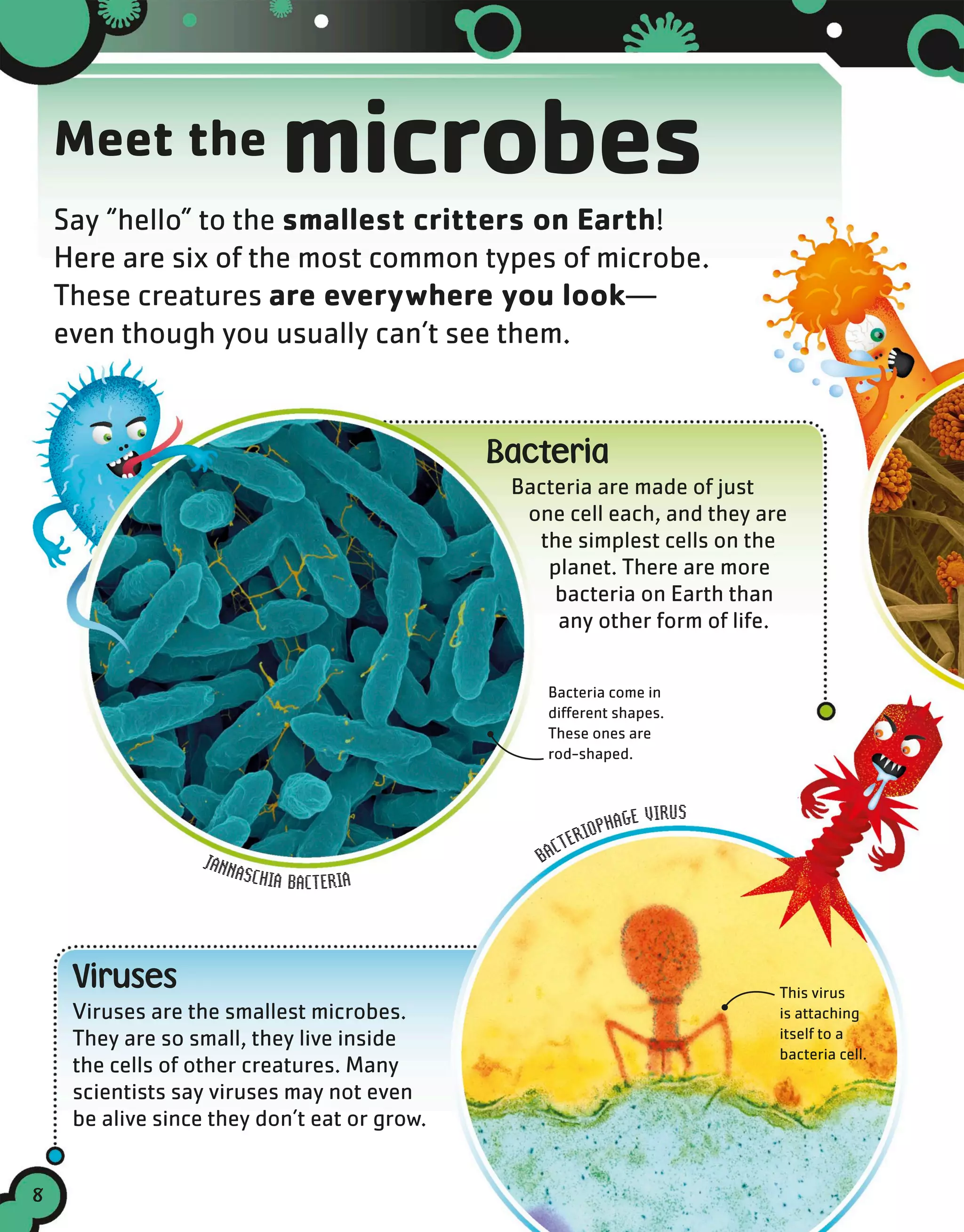 The Bacteria Book The Big World of Really Tiny Microbes.pdf